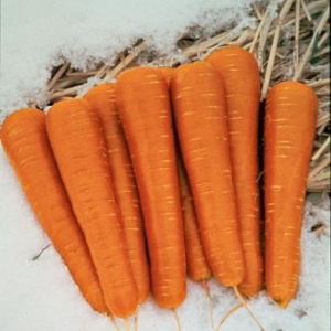 PORGAND - Aiamaailm OÜ