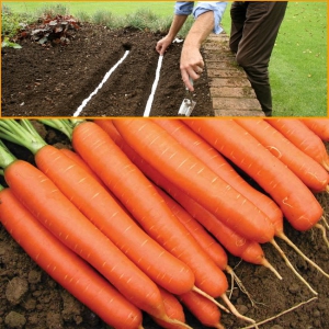 PORGAND - Aiamaailm OÜ