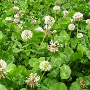 UUED SEEMNED 2023 - Aiamaailm OÜ