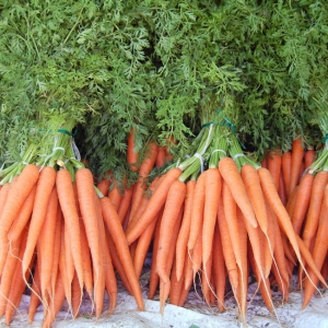 PORGAND - Aiamaailm OÜ