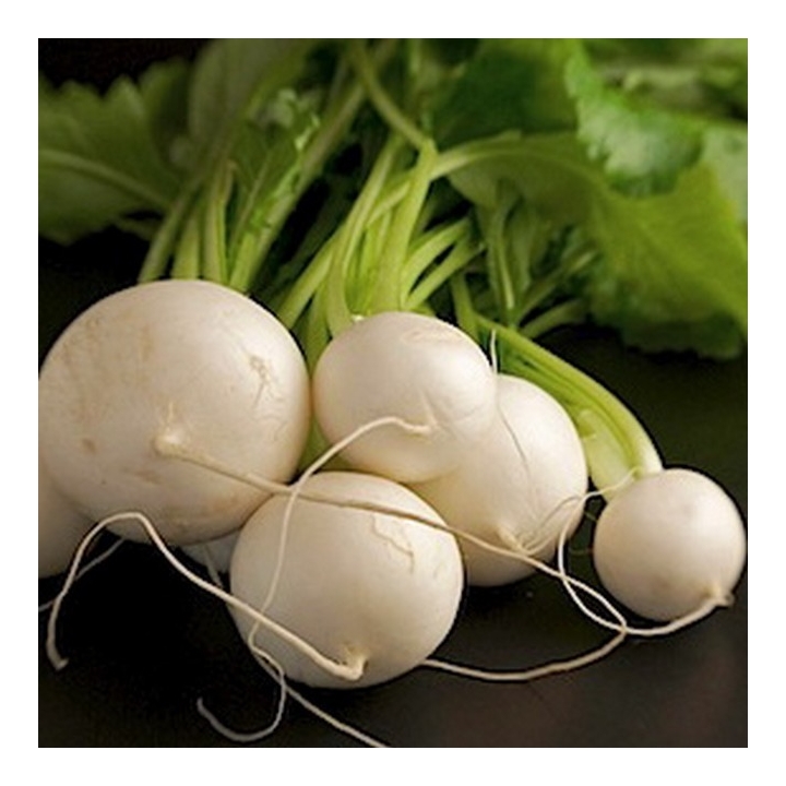 NAERIS Snowball SUUR PAKK - Aiamaailm OÜ